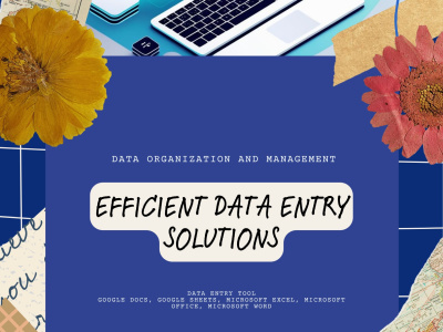 Accurate organized high quality data entry service | Upwork