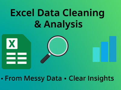 Clean, organized, and well analyzed Excel data for accurate reporting ...