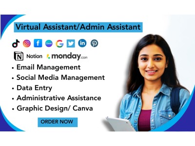 Virtual Assistant | Admin Support, Data Entry & Business Tasks | Upwork
