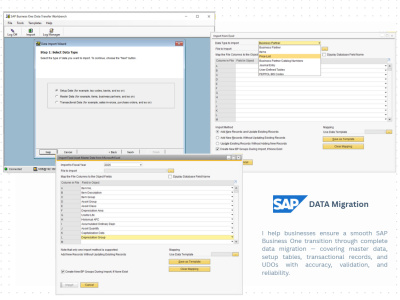 Migration of master, setup, and transactional data into SAP B1. | Upwork