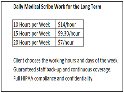 Daily Medical Scribe Services to Prepare Patient Charts for the Long ...