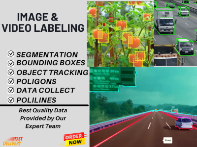 Data annotation, bounding box, Image segmentation, data labelling | Upwork