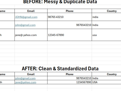 Data Formatting & Standardization for Excel or CSV Files | Upwork