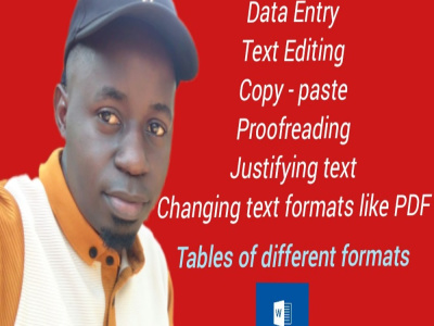 Professional data entry, text editing, copy - paste, text formatting ...