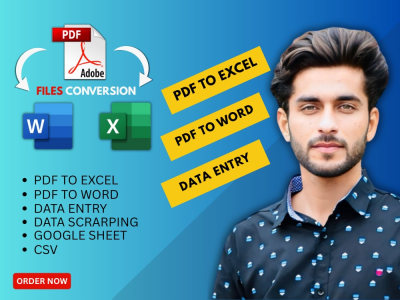 Convert PDF to word, excel, data entry and document formatting | Upwork
