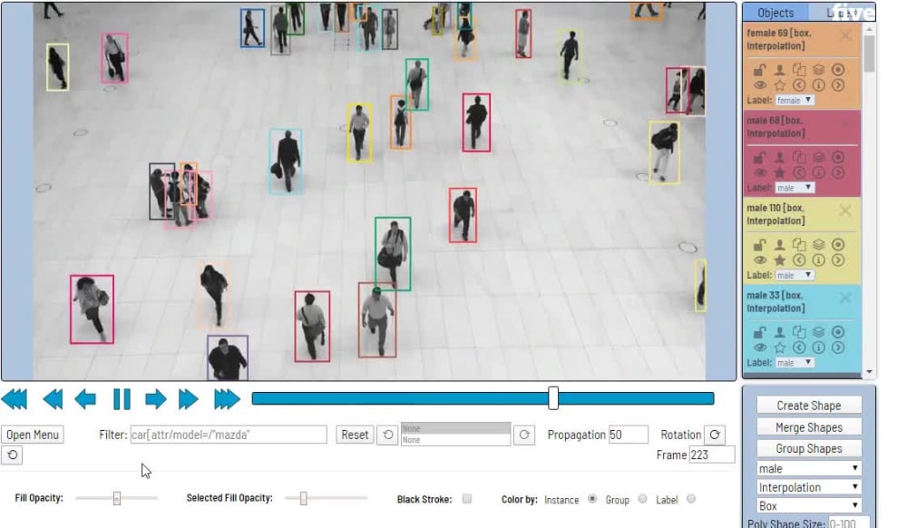 Polygons, boxes and segmentation for Image and video Annotations | Upwork