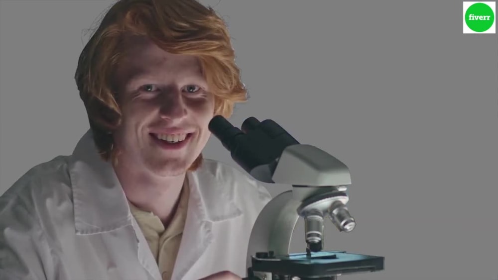 VFX Compositing/ Roto Paint .Artist | Upwork