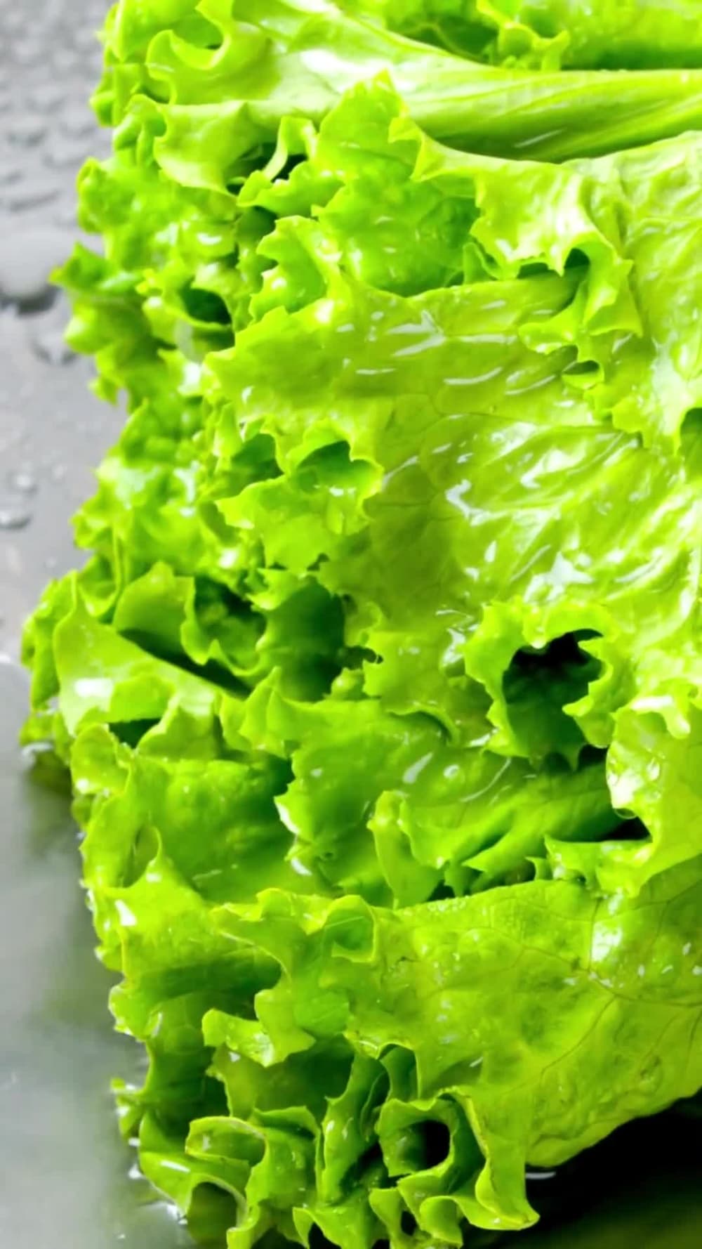 12 Food Videos for Instagram Reels | Upwork