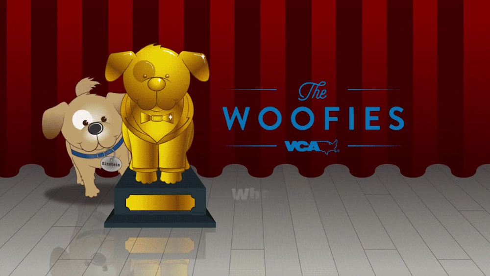 A high-quality eLearning course for your LMS using Articulate 360 | Upwork