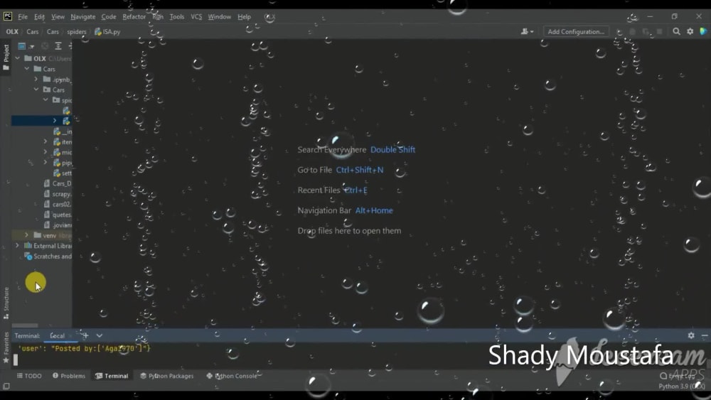 Web scraping, Data scraping, & Data extraction with Scrapy Python framework | Upwork
