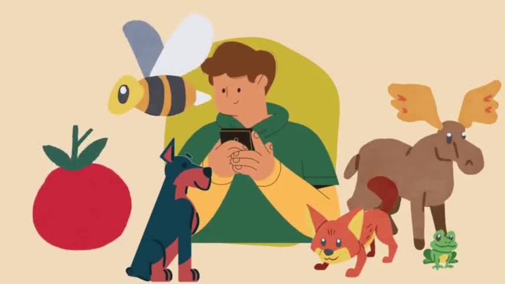 Scientific research-based content writing | Upwork