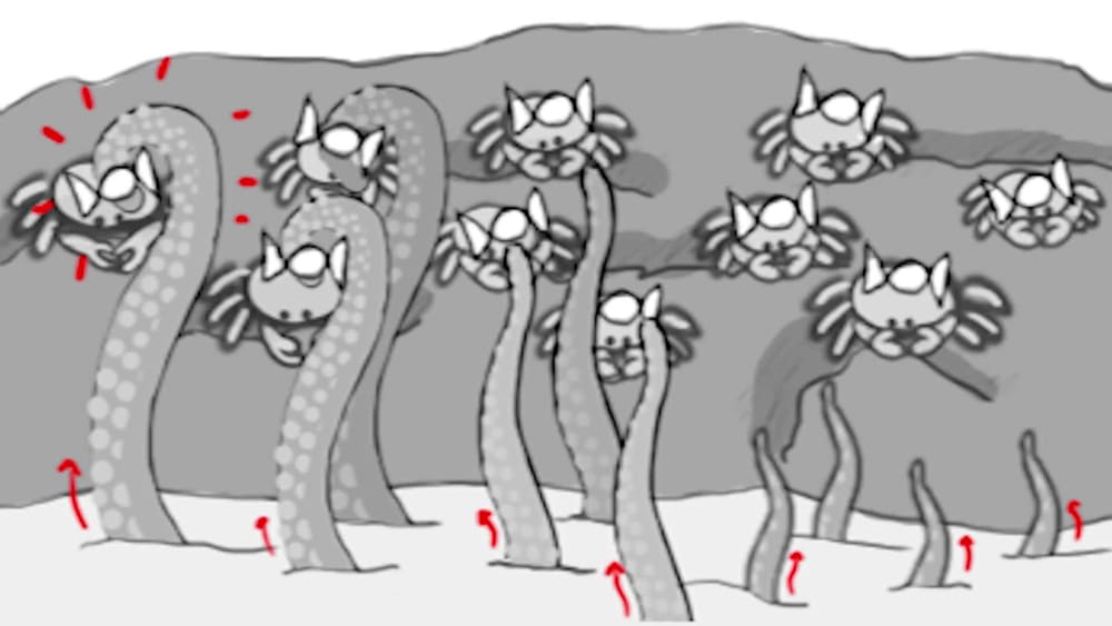 30 second animation and 10 illustrations. | Upwork