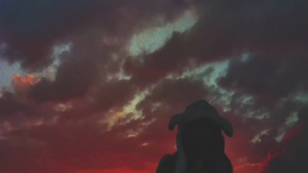 An amazing aesthetic or trendy video edit with perfect syncing. | Upwork