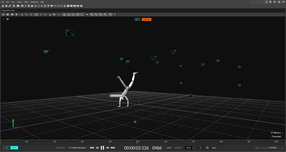 A set of Animations from Motion Capture | Upwork