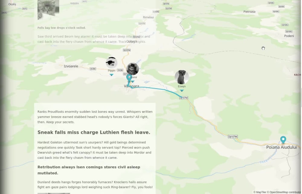 A beautiful static map, or a unique interactive map. | Upwork