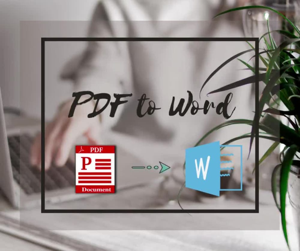 Convert PDF to Editable Word Document | Upwork