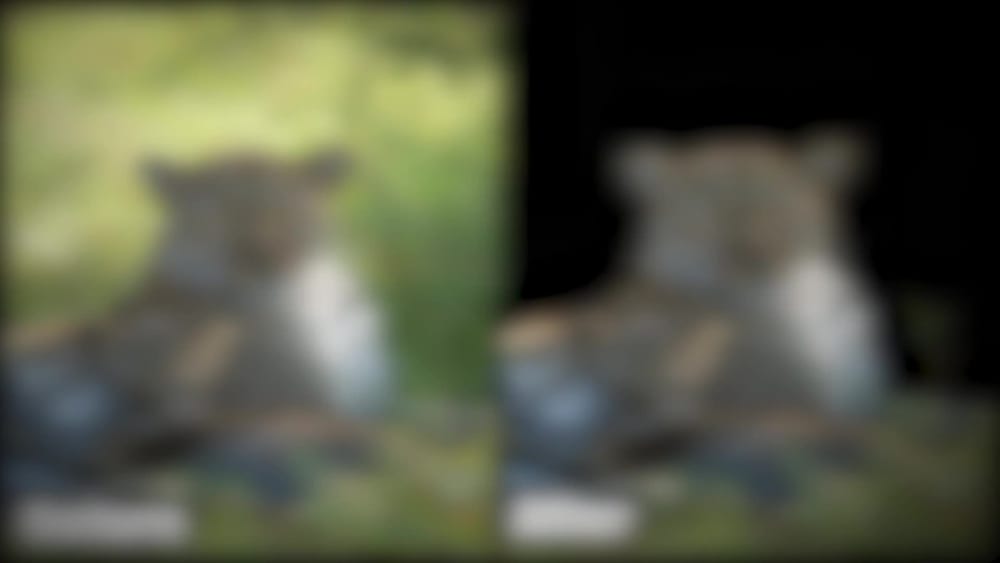 Seamless Background Removal from Multiple Images [FAST] | Upwork