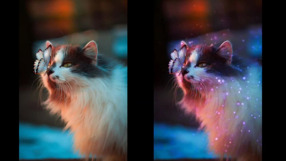 An animated moving video or gif from still images | Upwork