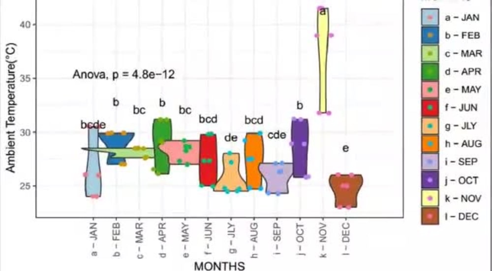 Irresistible publication-ready plots using R | Upwork