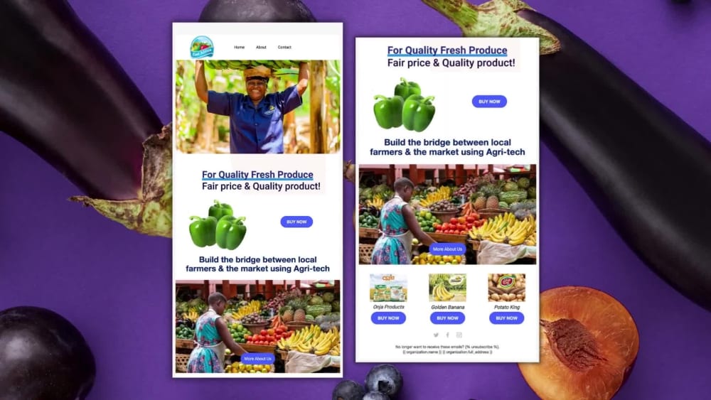 Klaviyo email templates responsive design | Upwork