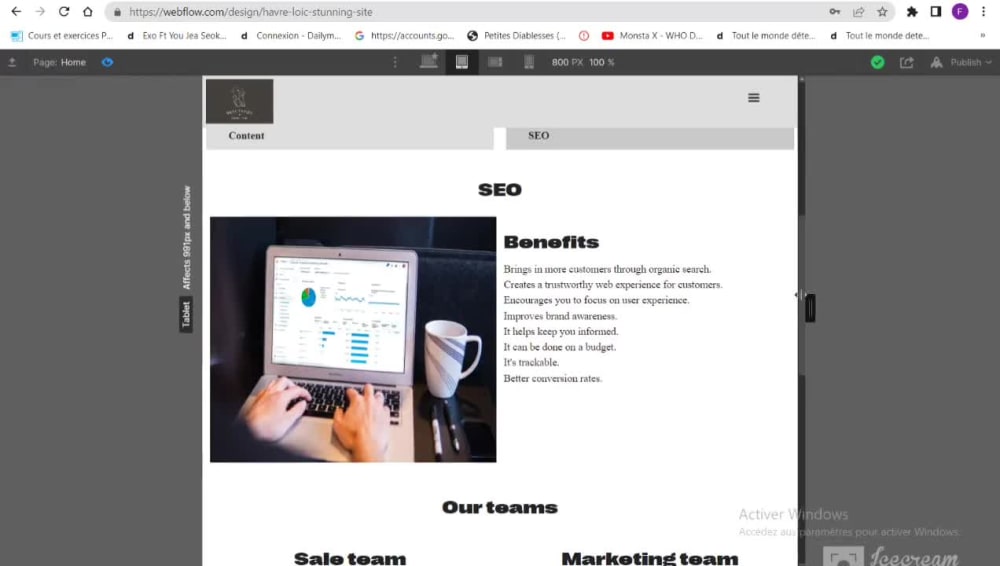 An awesome webflow website development | Upwork