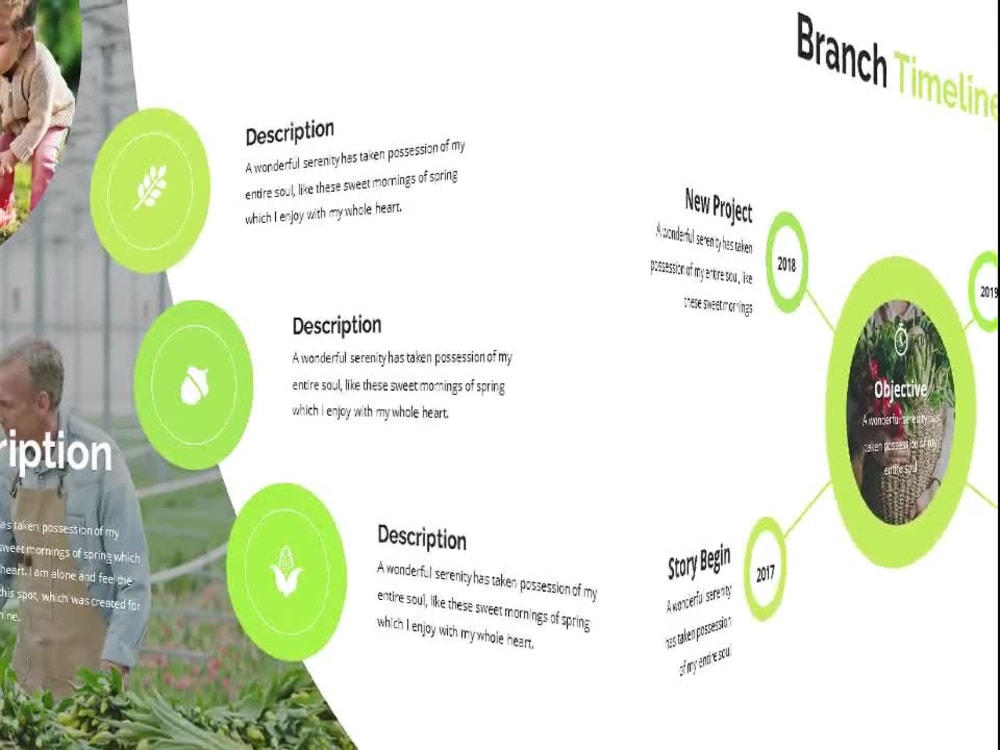 A professional PowerPoint presentation | Upwork