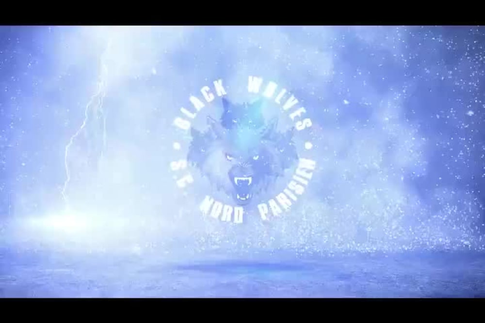 Your logo custom animated | Upwork