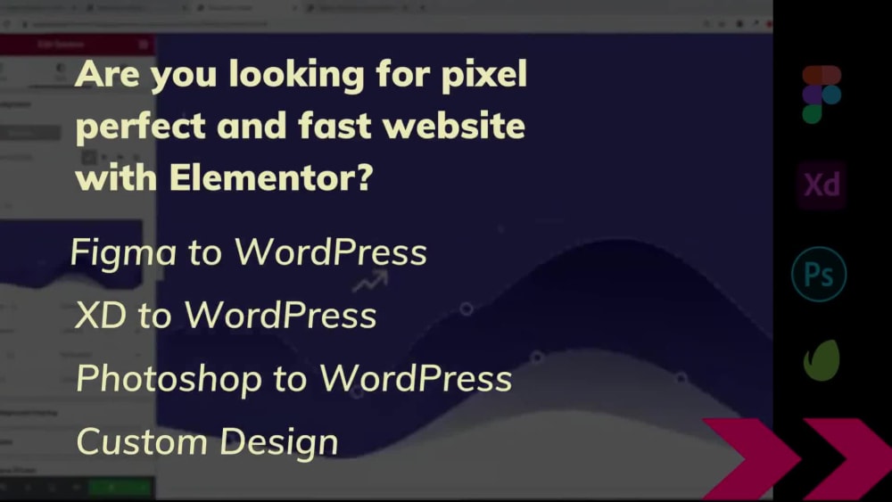 Elementor Pro Elementor Expert Elementor Designer Wordpress