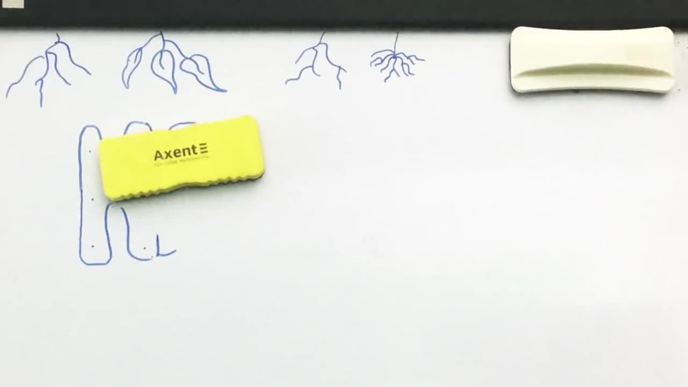 A stop motion text animation | Upwork