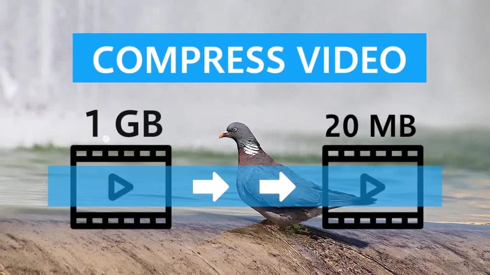 A compressed size video without losing quality | Upwork