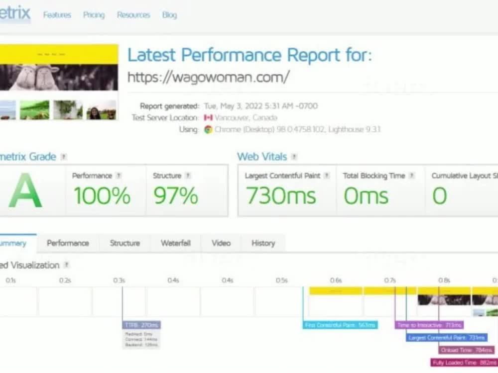 PageSpeed insights,Speed Optimization Expert,Gtmetrix performance | Upwork