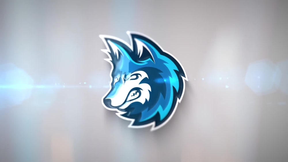 Professional logo animation intro | Upwork