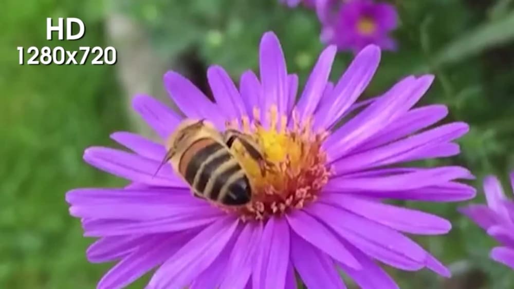 Improved, enhanced, upscaled video to higher resolution using ai engine ...