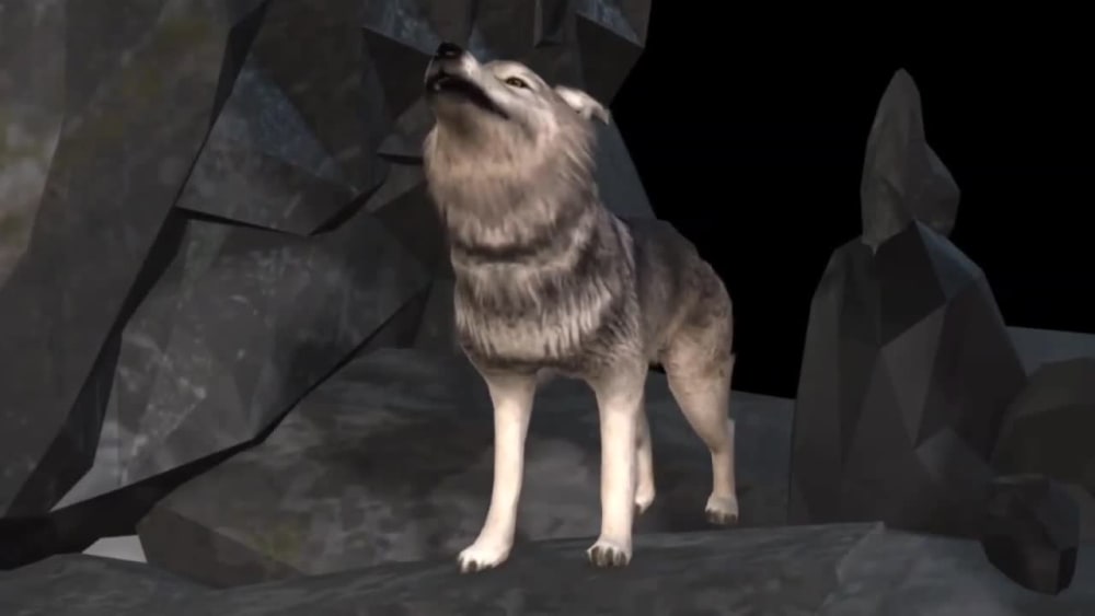 3d animal model, texture, rig and animation with realistic hair | Upwork