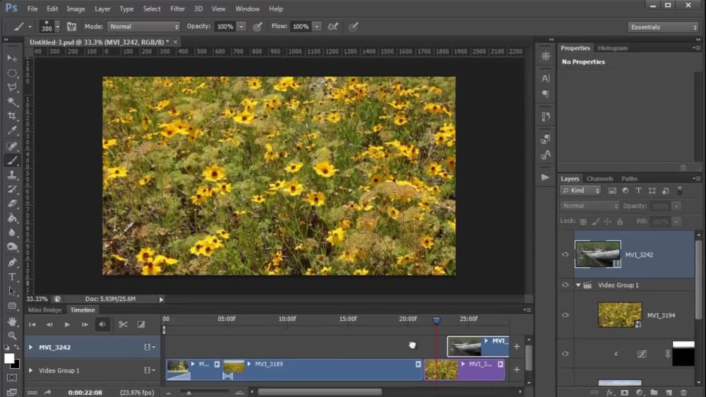 Professional video editing in adobe premiere pro | Upwork