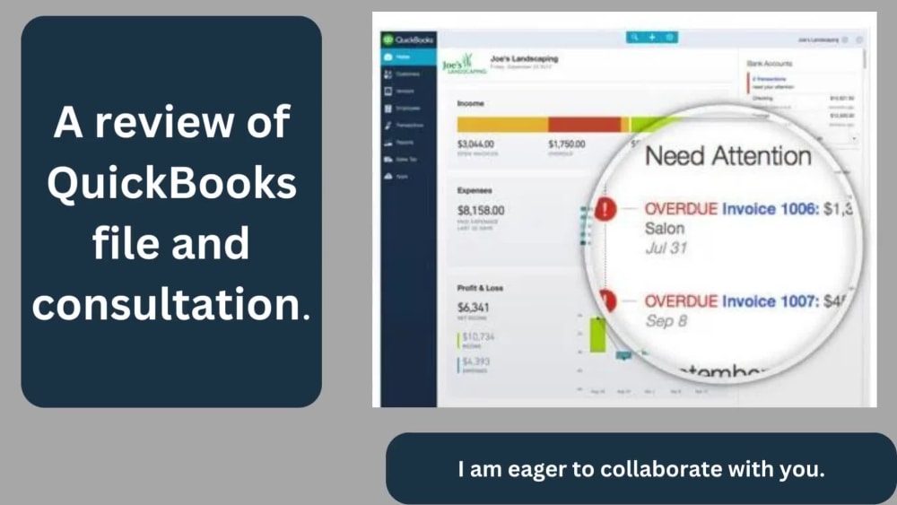 A review and consultation on your QuickBooks file. | Upwork