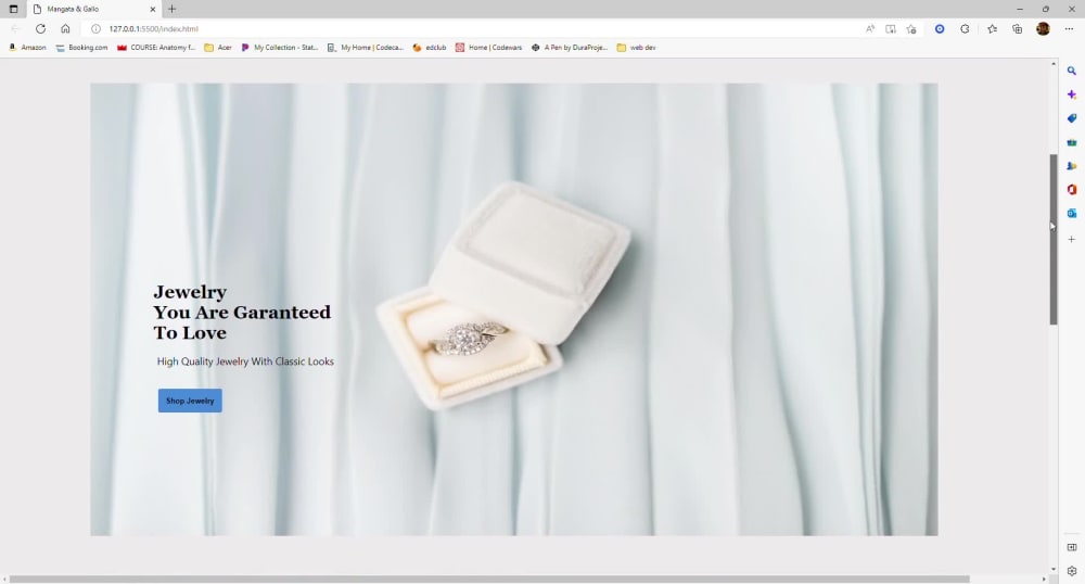 A static interactive website made with plain HTML and CSS or with Bootstrap | Upwork