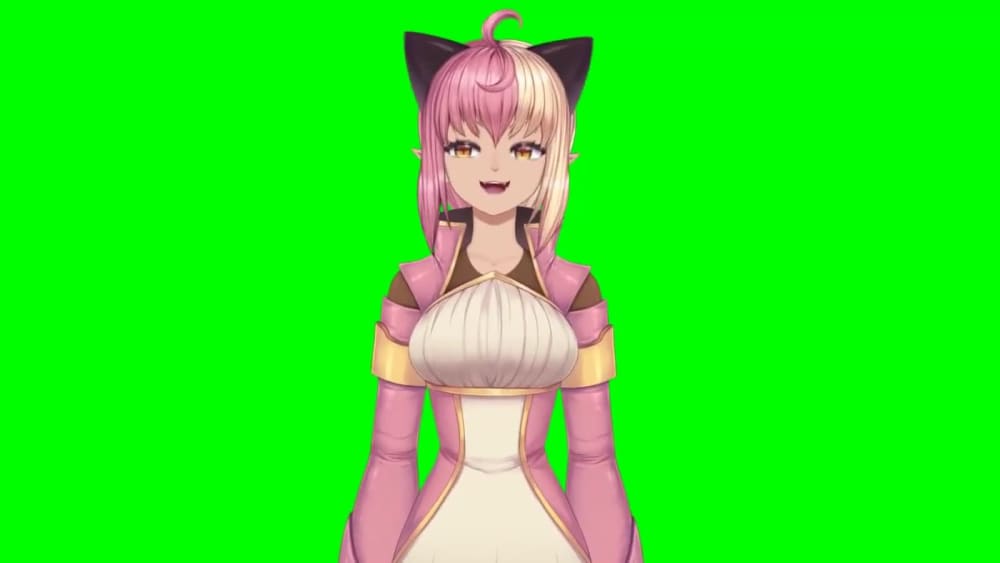 A professional animated 2d Vtuber, 2d Vtuber model, rigging or facerig ...