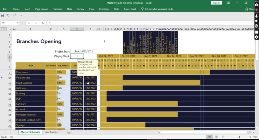 Dynamic gantt chart and project tracker in excel | Upwork