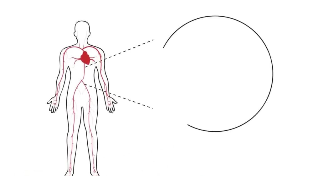 An amazing whiteboard animation or explainer video | Upwork