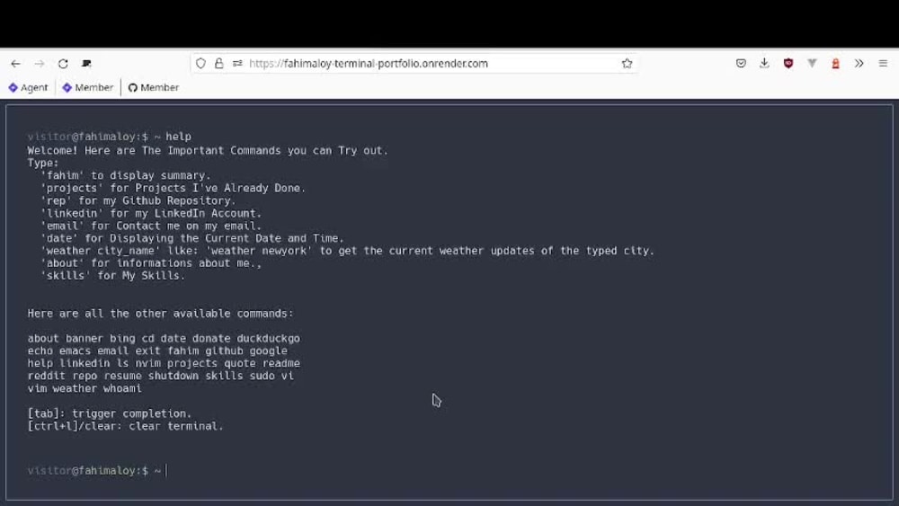 Terminal Lookalike React Portfolio Website | Upwork