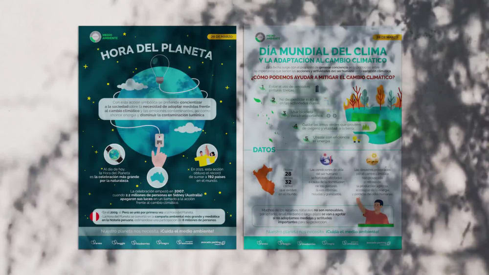 Aesthetic, clear and orderly 2D infographics | Upwork