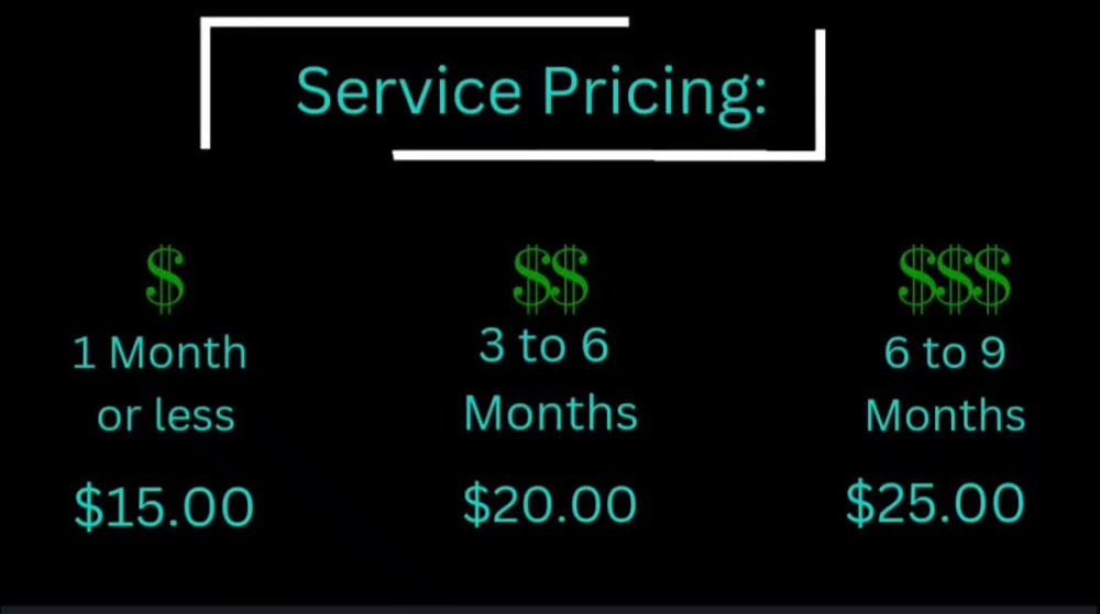 Excellent Virtual Assistant Customer Service Upwork