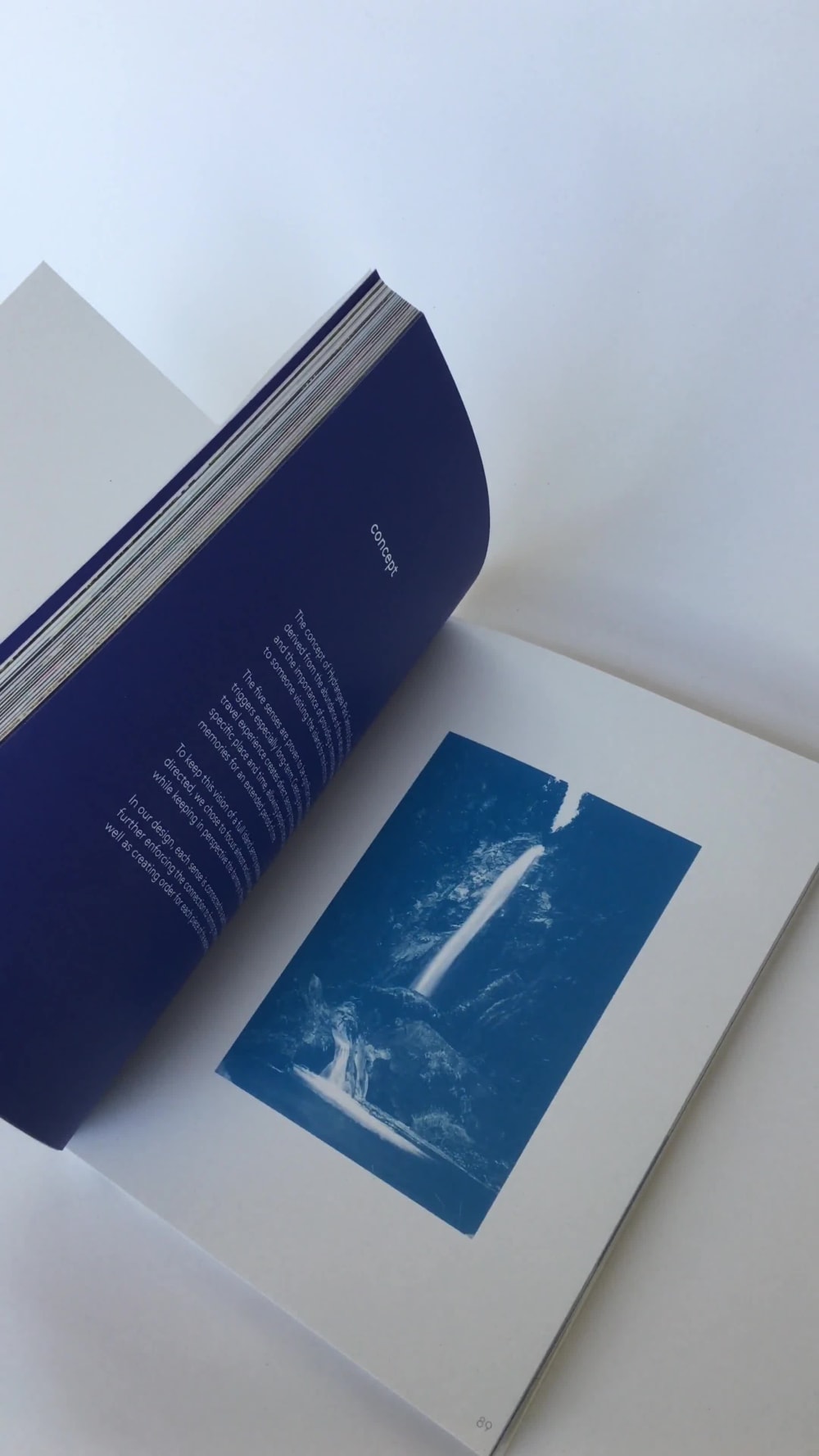 A beautifully designed and balanced editorial project. | Upwork