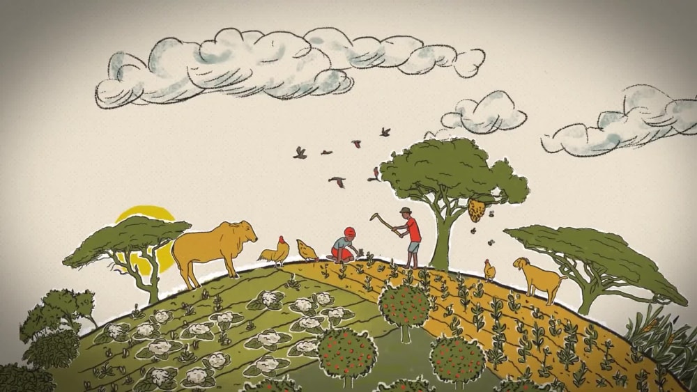 Explainer Video - Storyboard, Illustration, Animation and Sound Design ...