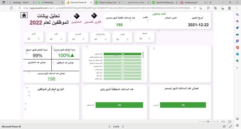 Professional Power Bi Dashboard | Upwork
