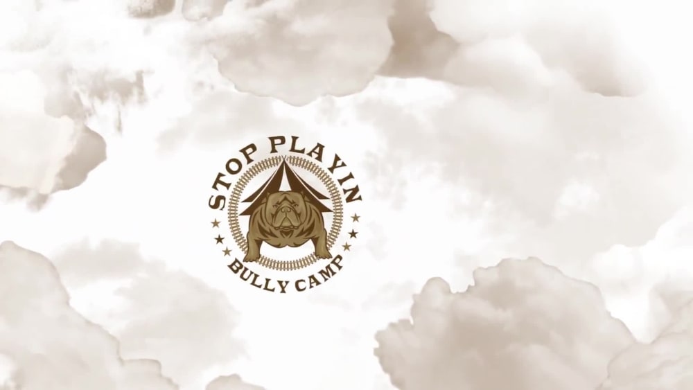 Top-notch MODERN | MINIMALIST | RETRO | VINTAGE | ICONIC EMBLEM logo ...