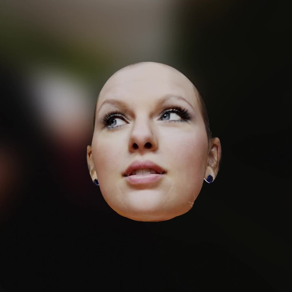 A realistic 3D model of your face from a photo: Create Virtual You ...