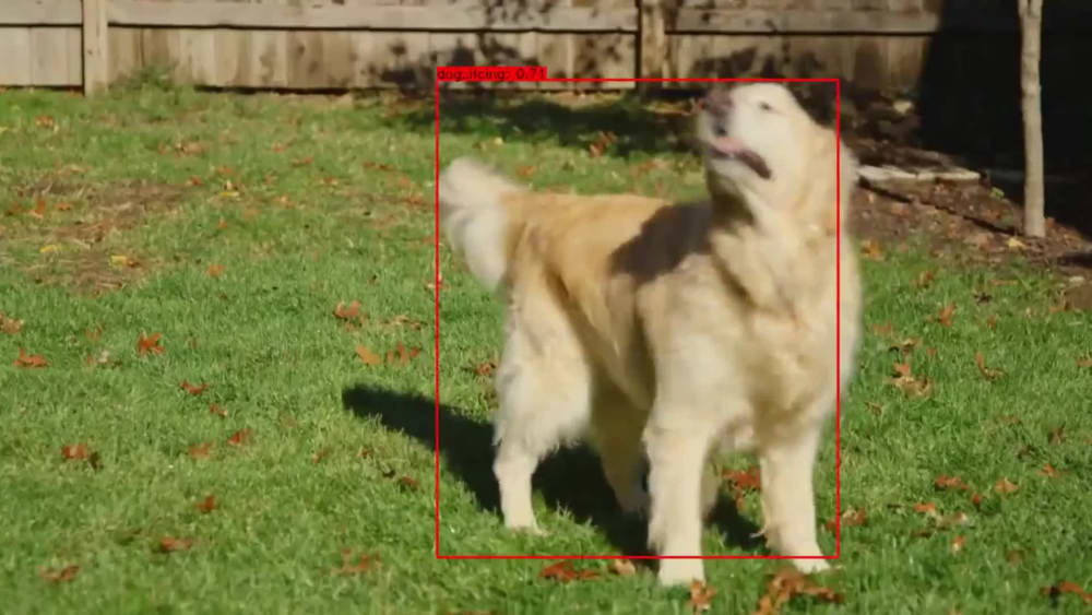 Object Detection Image Classification Project Solution Upwork