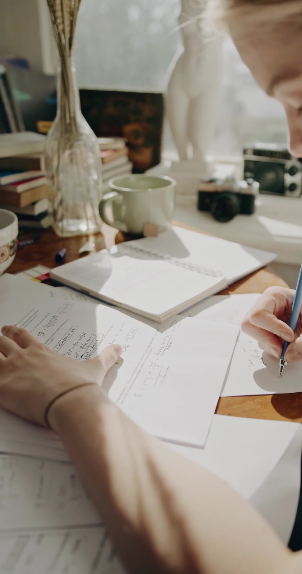 A language bridge built between the Dutch and French cultures | Upwork